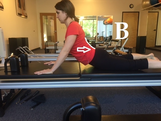 Spot the Difference | Swan Dive Prep - Pacific Northwest Pilates